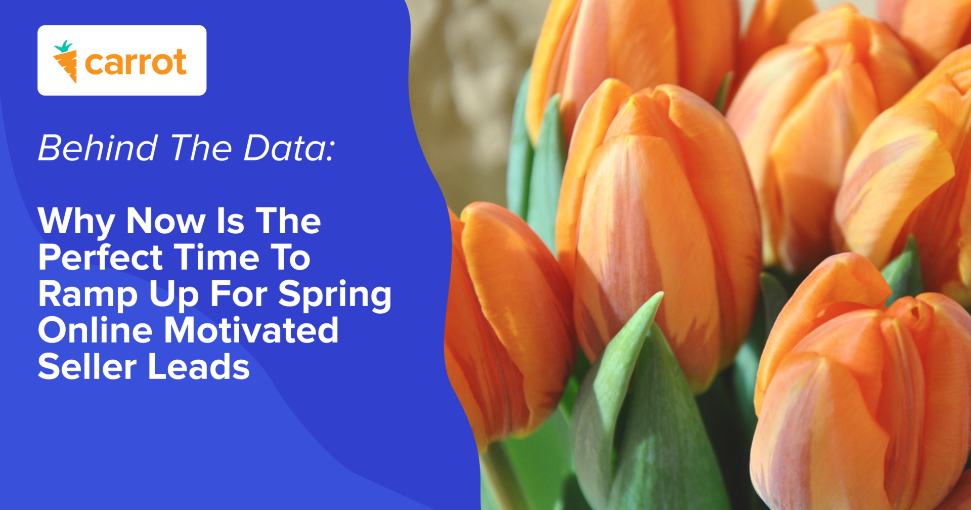 Why Spring Is The Perfect Time To Ramp Up Your Online Motivated Seller ...