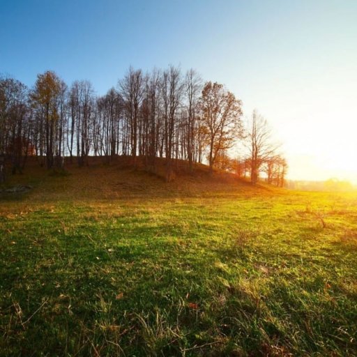 4 Reasons to Add Land to Your Investment Portfolio in – Lands For Less