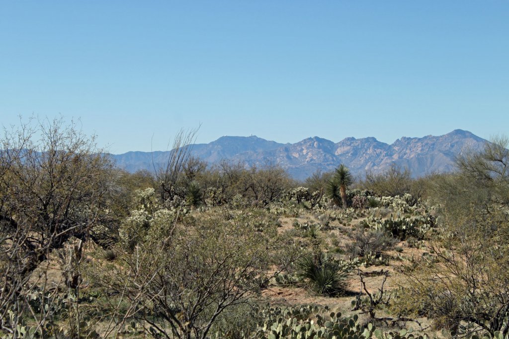 6 Hidden Expenses Of Owning Vacant Land In Tucson