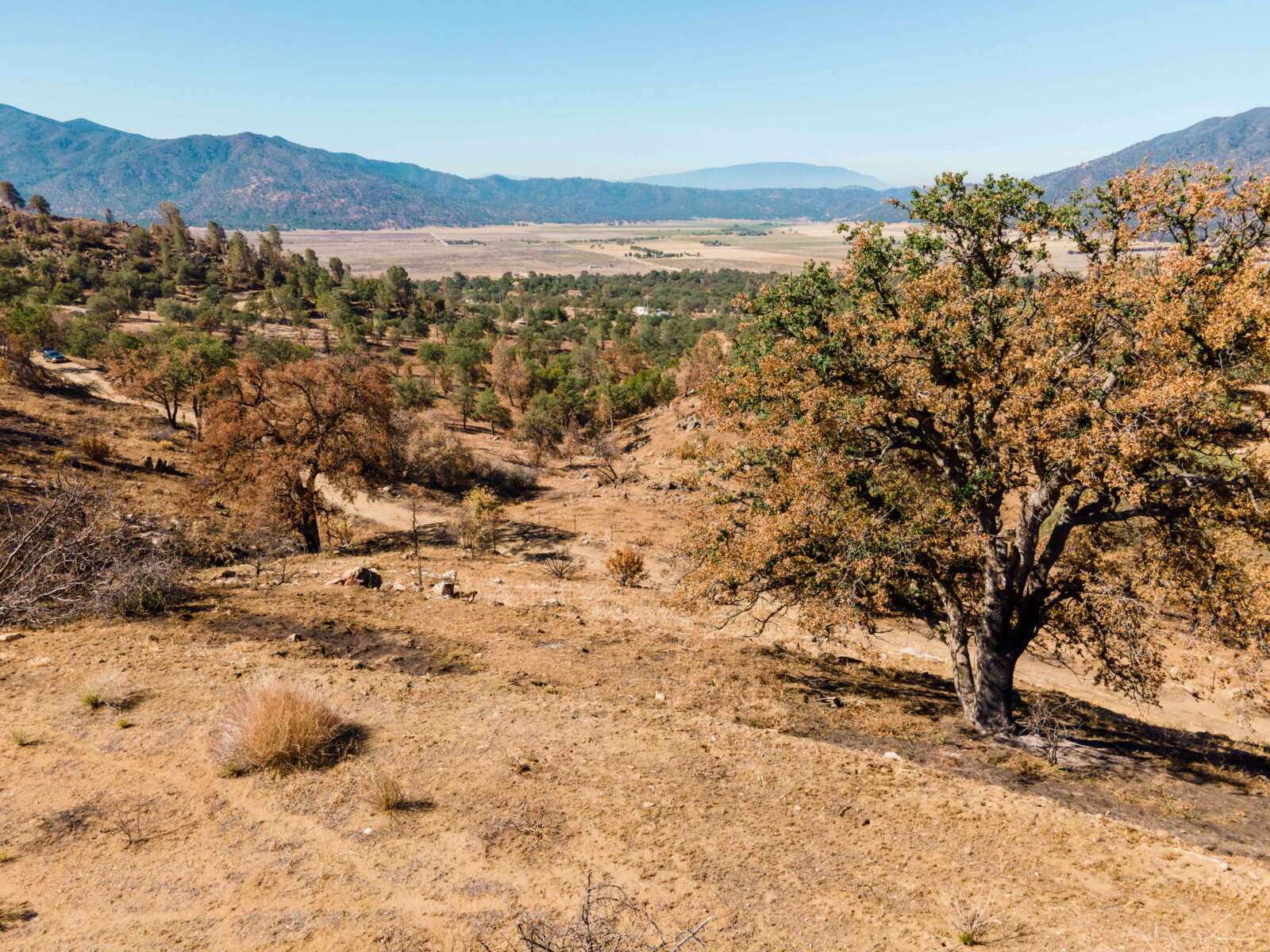 Walker Basin Vacant Land With Owner Financing | PY Properties LLC