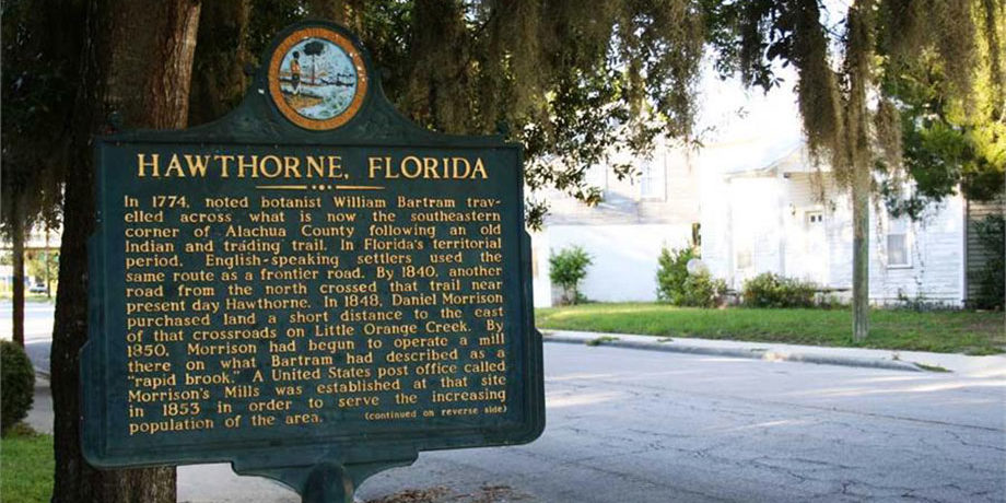 Buy or Sell Real Estate in Hawthorne, Florida
