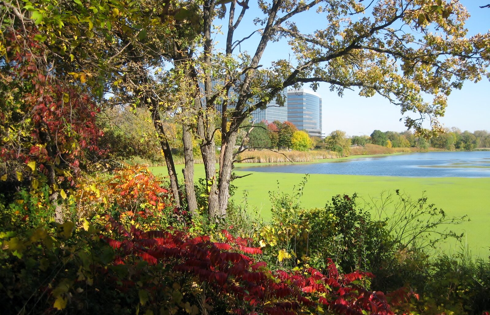 About Bloomington | Minnesota Home Brothers