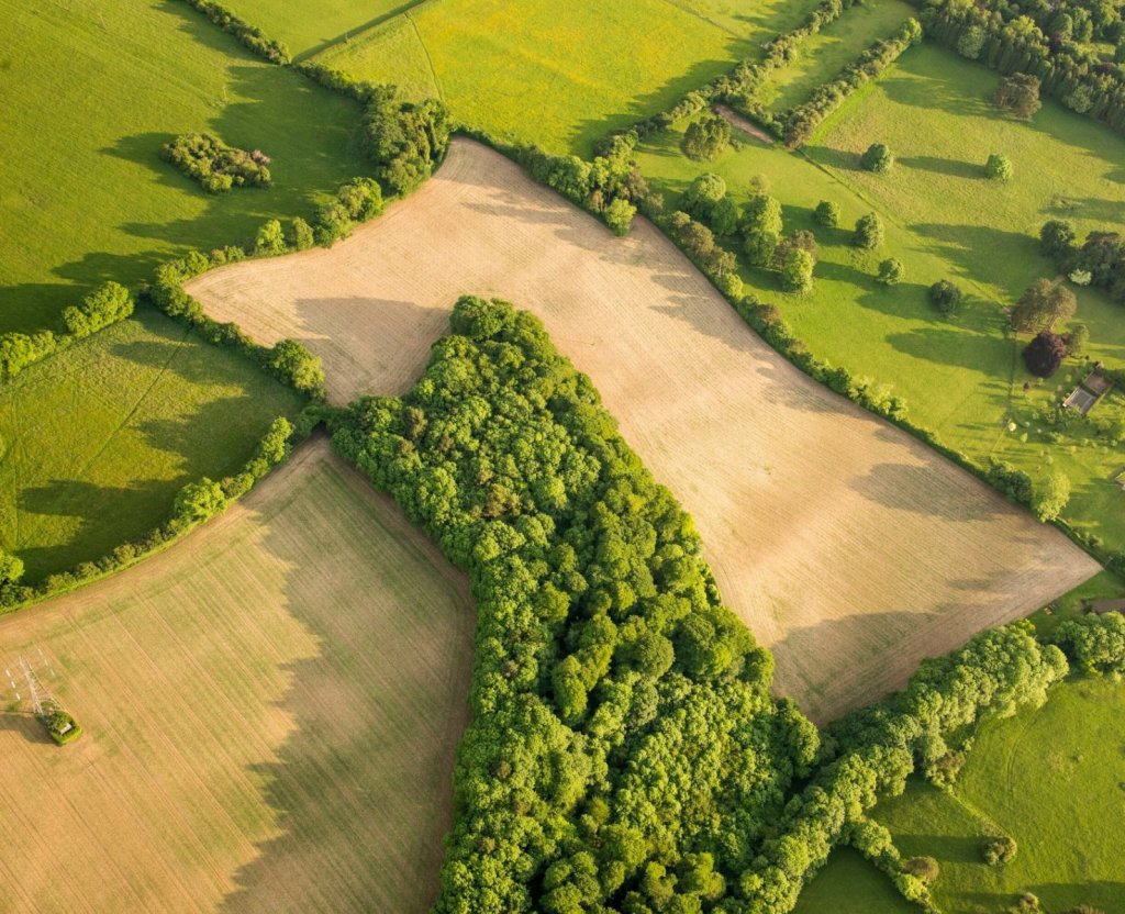 How Much Does Land Cost Per Acre In Virginia 