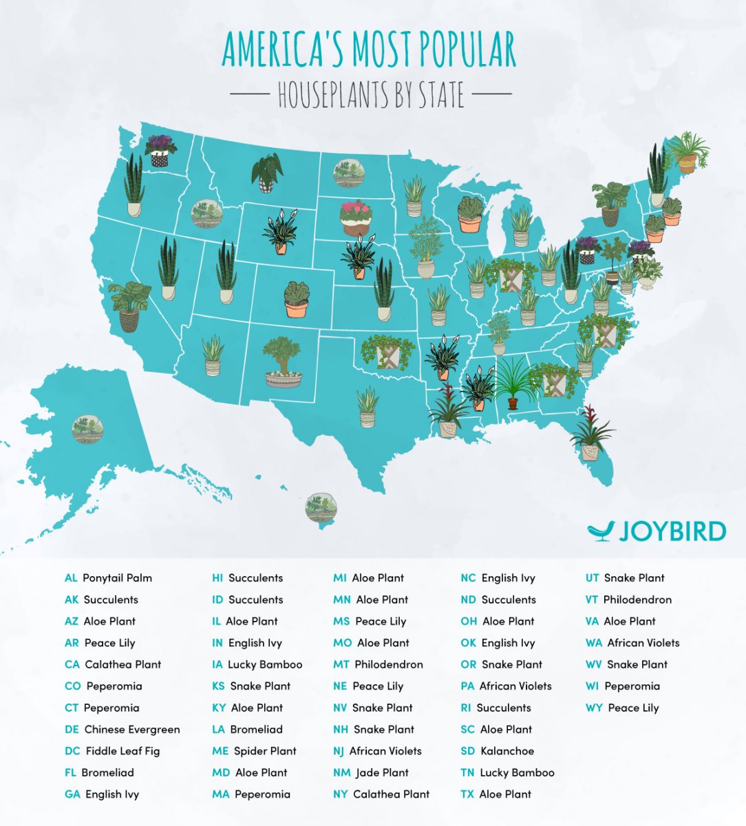 What Are the Top Houseplants in Every State? | Omaha Home Pros Team