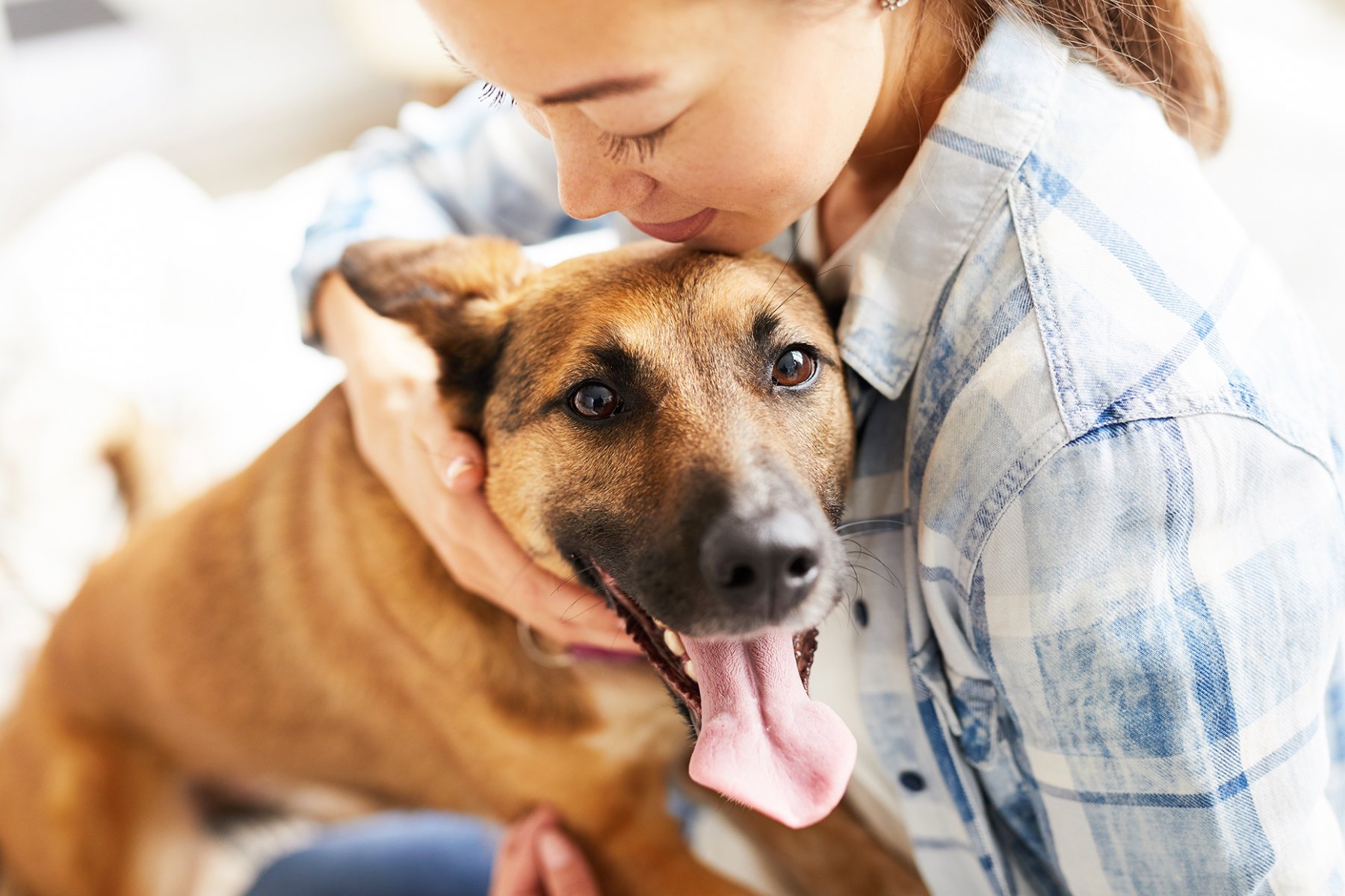 Four Important Things to Look for When Hiring a Pet Sitter | Omaha Home ...