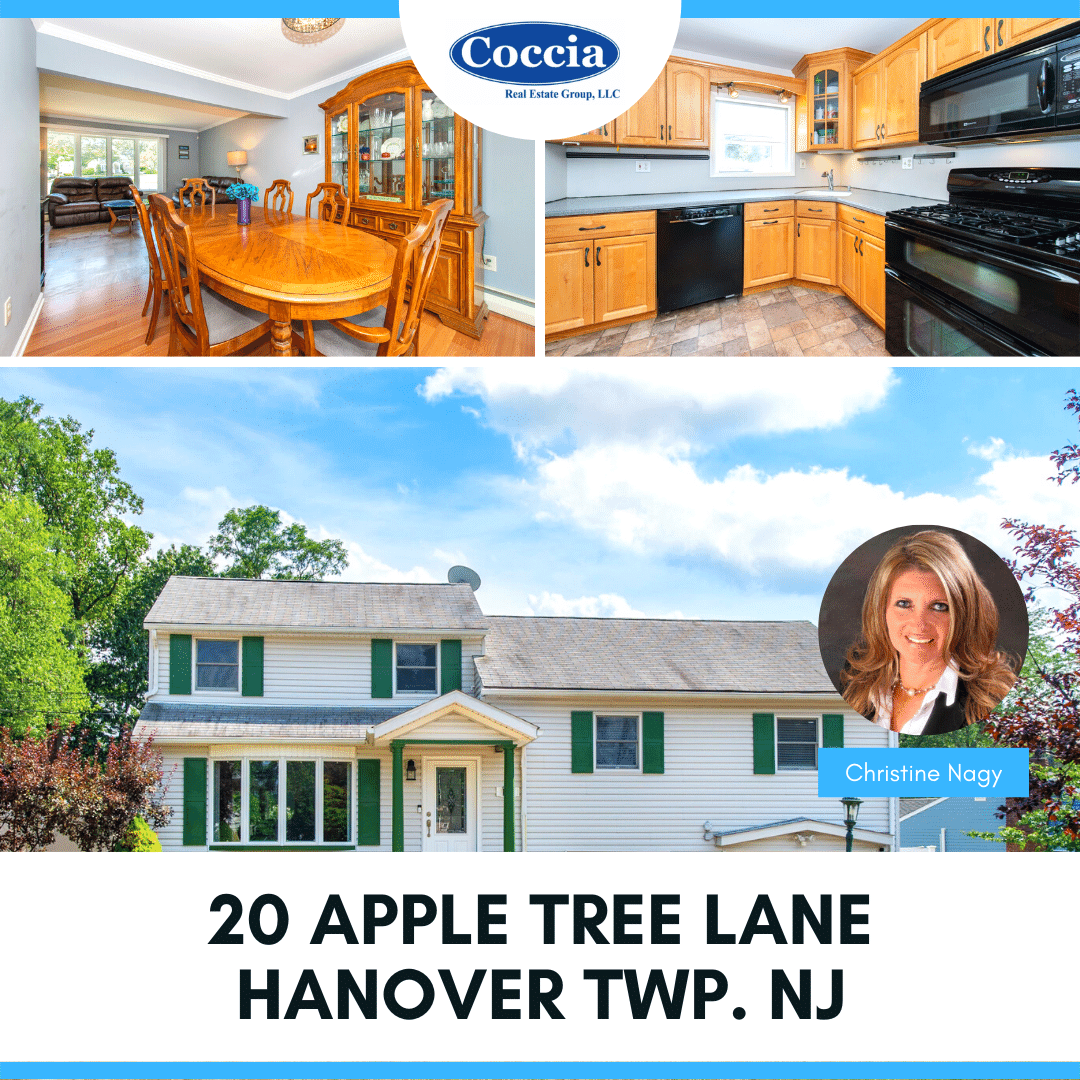Home For Sale | 20 Apple Tree Lane Hanover Twp NJ | Morris County