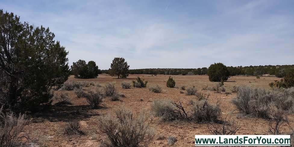 Apache County | Lands For You