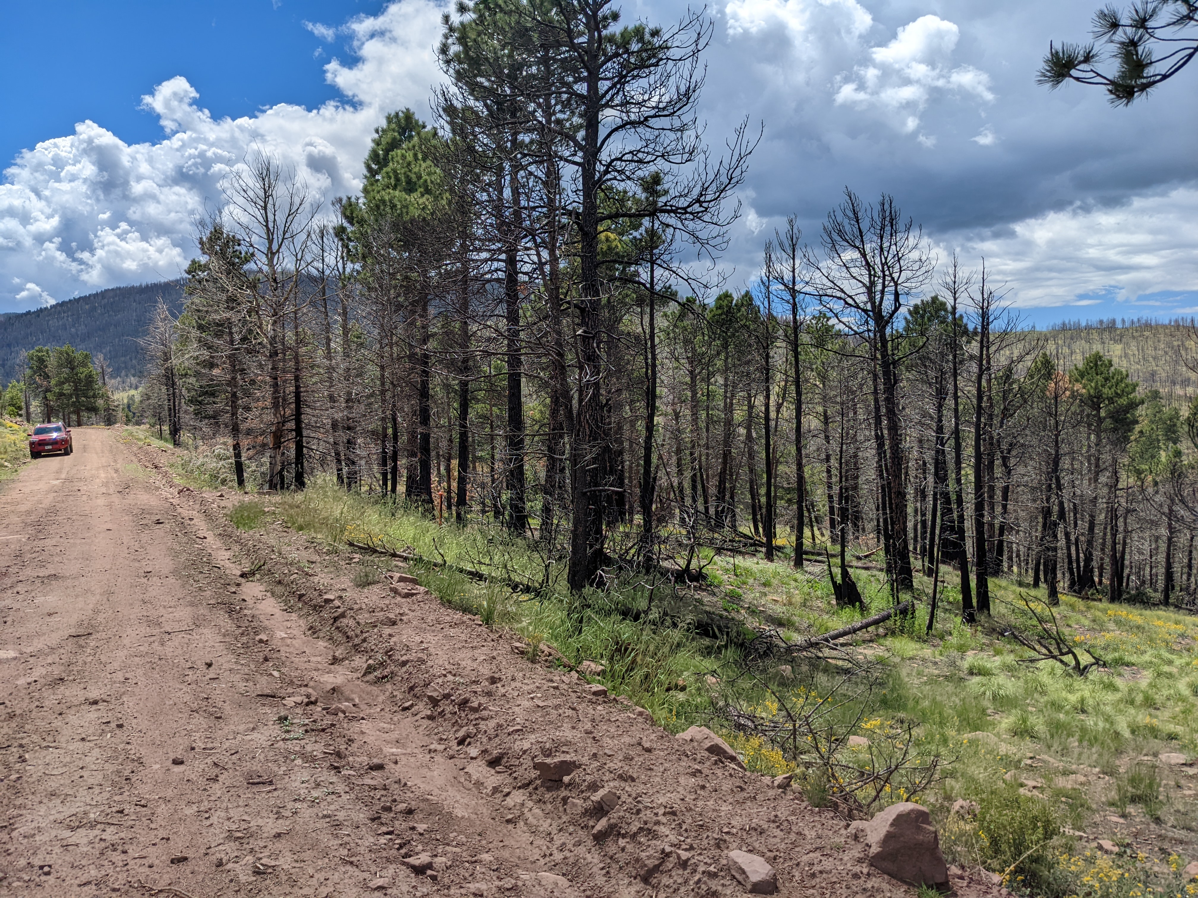 2.05 Acres Land for Sale in Forbes Park Costilla County Colorado