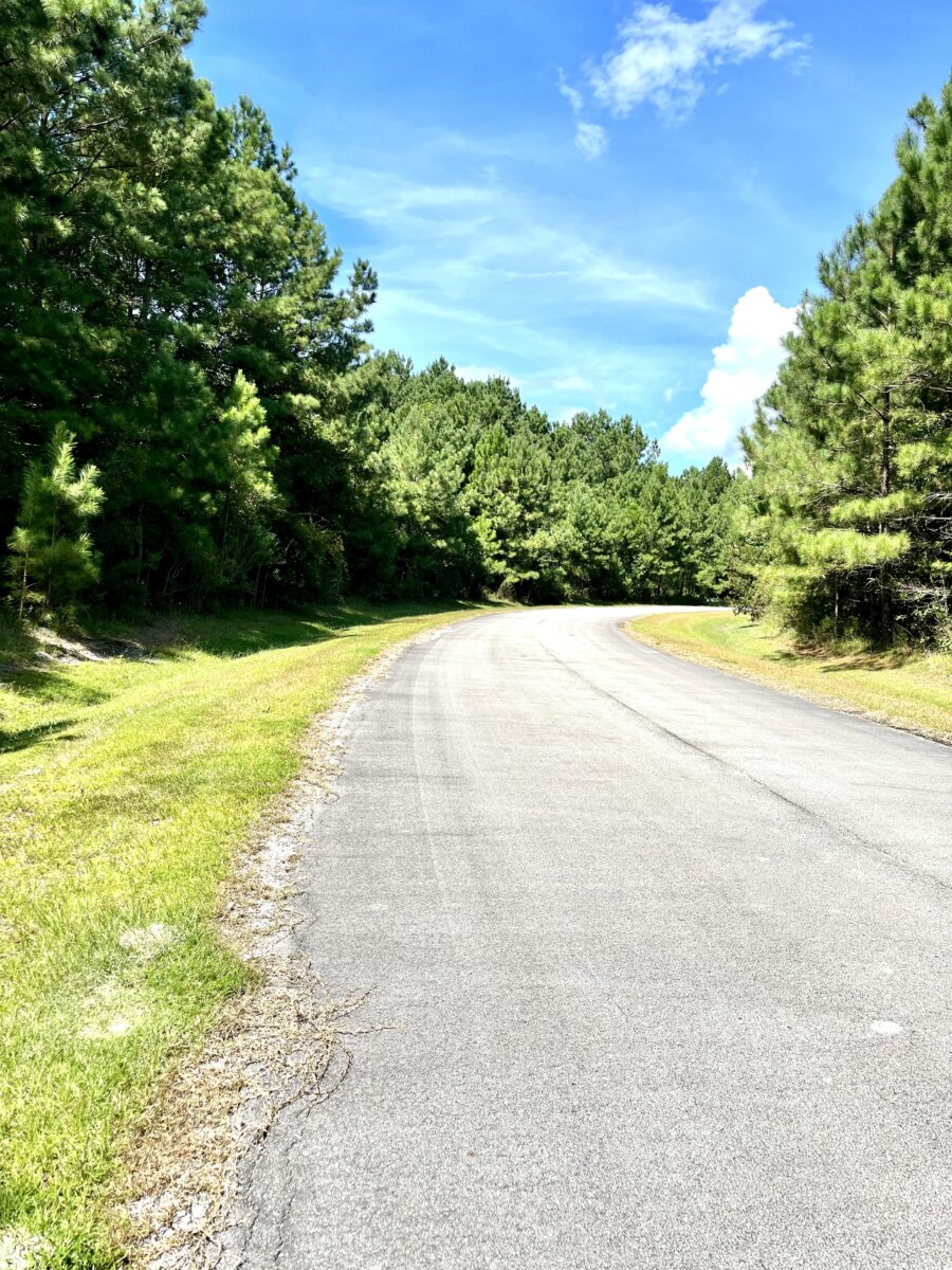 3.29 Acres Land for Sale in Blounts Creek Beaufort County North Carolina