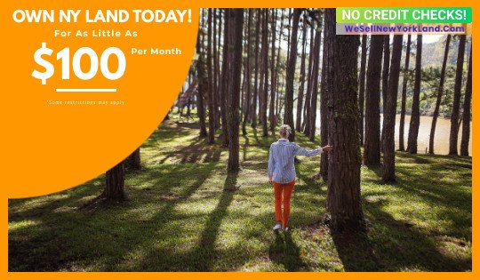 NY Land For Sale By Owner | Own NY Land | WeSellNewYorkLand.com