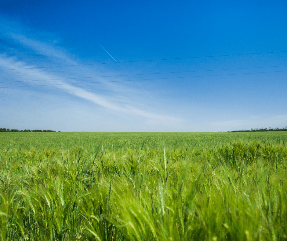 How Do You Sell Land Without A Realtor Sell Your Homes Houston
