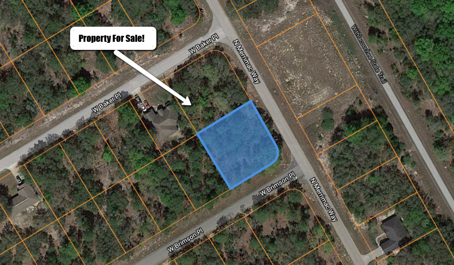 0.34-acre lot in Citrus County FL! Build Your Dream Home Here Now ...