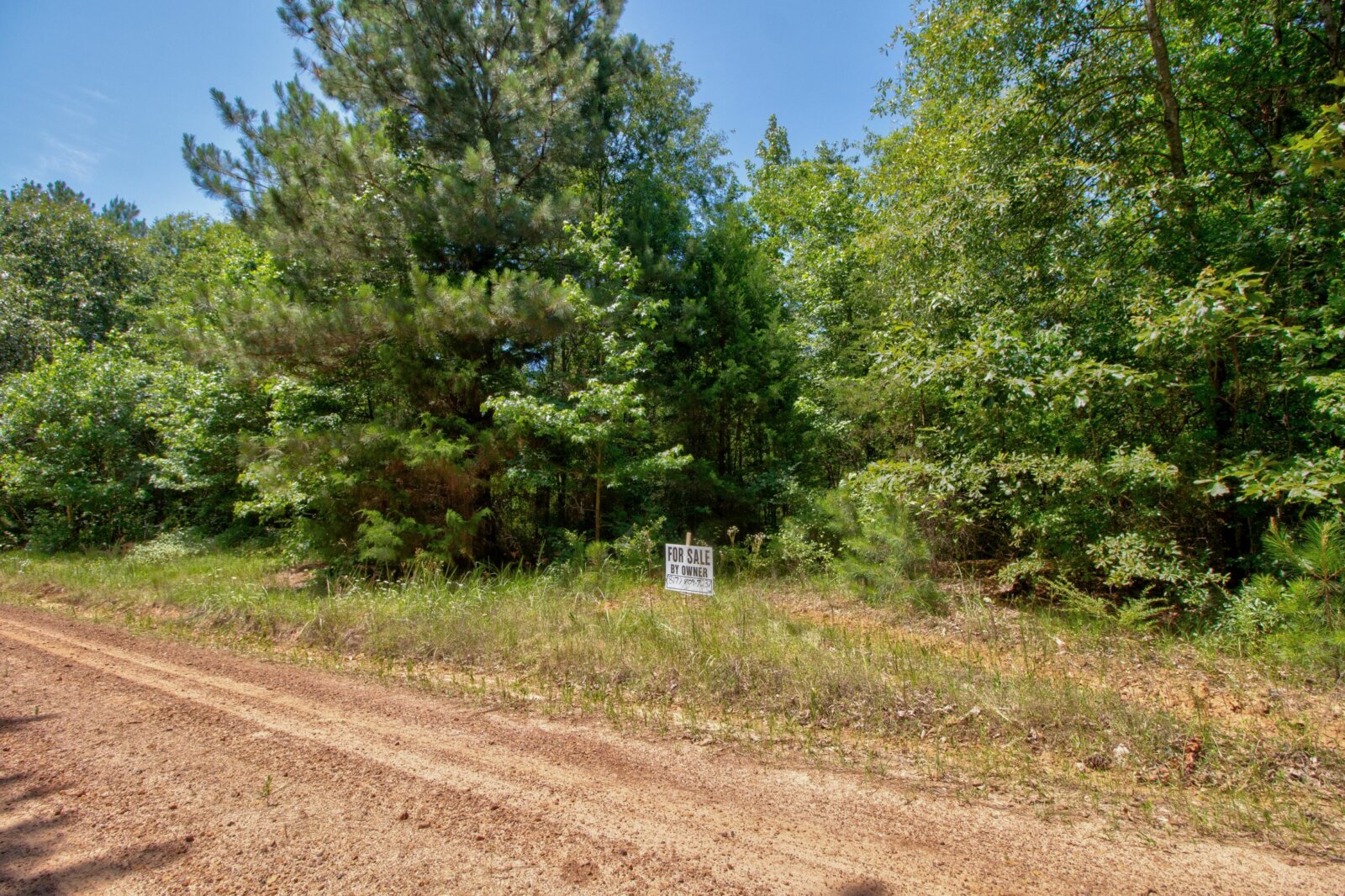 12 Wooded Acres in Marietta, TX - Cass County | Discover Land Now