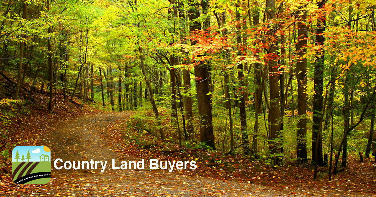 Sell Your Vacant Land Fast | Country Land Buyers