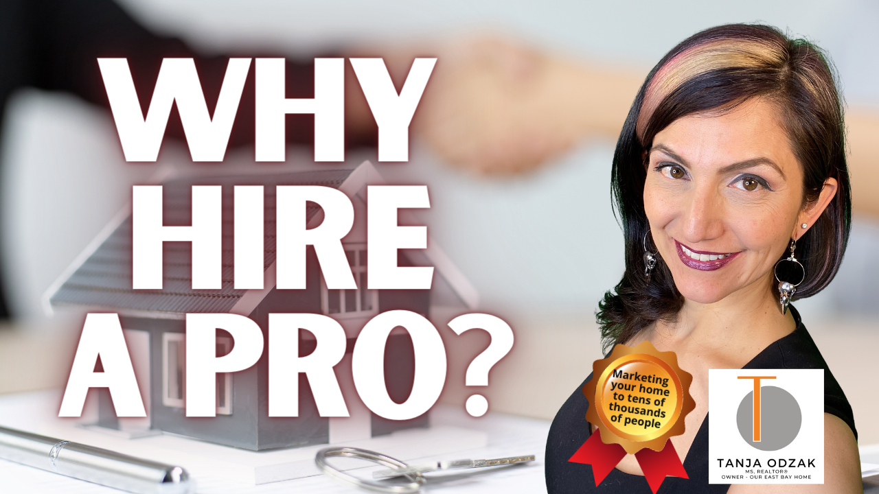 Why Is It So Important to Hire a Professional Real Estate Agent in Today’s Market? | Tanja Odzak ...