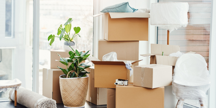 Moving Company Comparison: 5 Key Factors to Consider Before You Hire
