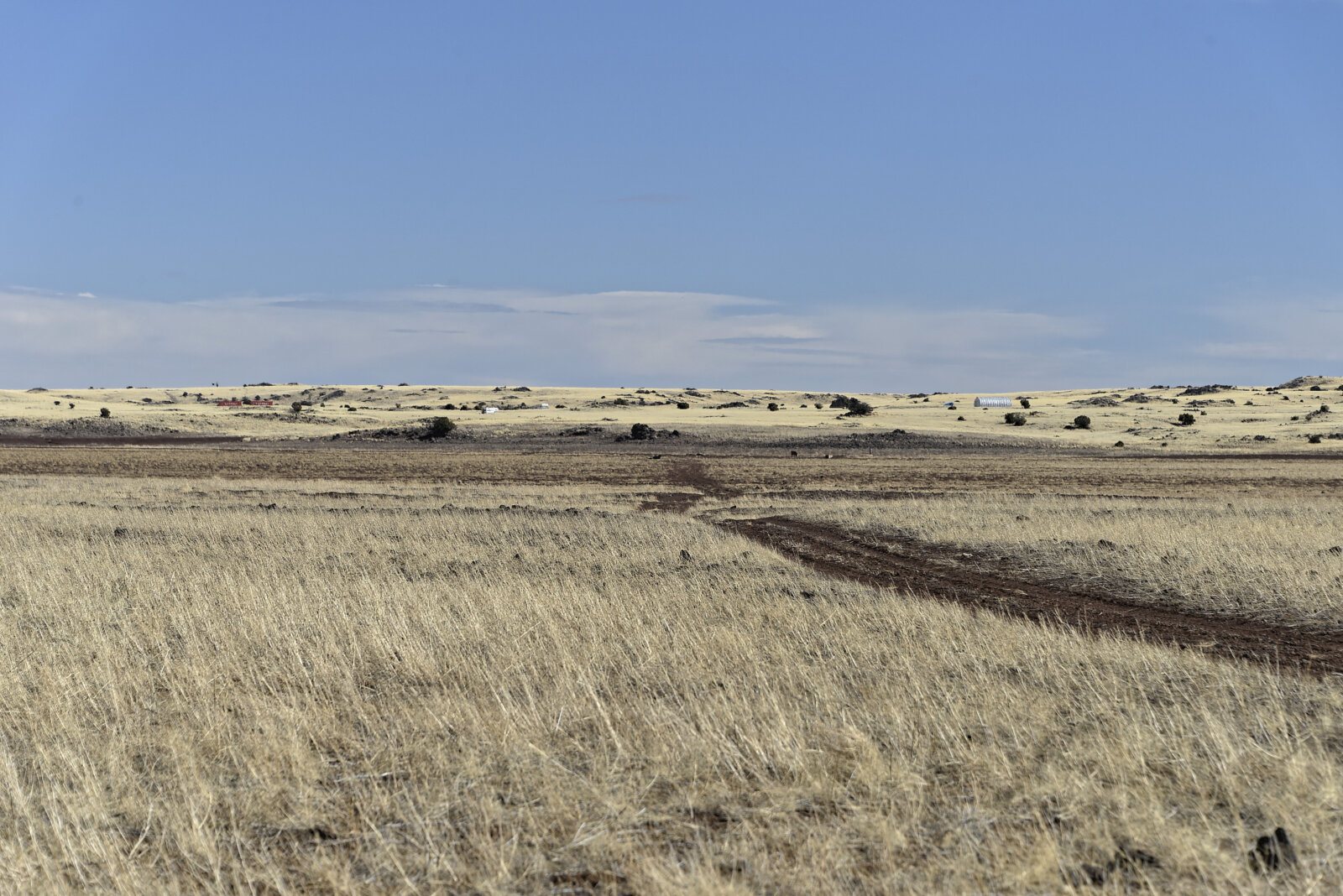 Get the best of Both worlds with these 2-acre side-by-side lots in ...